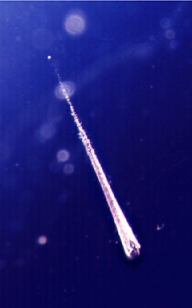 Exotic grains from cosmos identified - BBC News