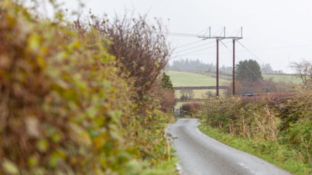 Wind farm power line consultation for Brechfa Forest - BBC News