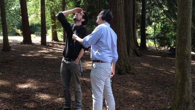 Listening to the sounds of the woods - BBC News