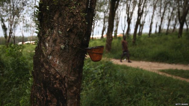 Africa in pictures: 22-28 August 2014 - BBC News