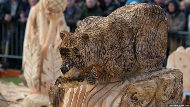 Wood work: Images from Carrbridge's chainsaw contest - BBC News