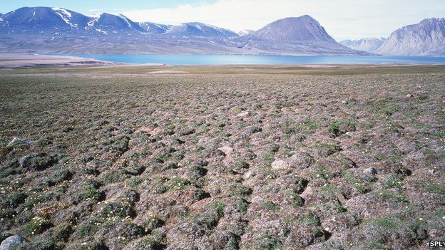 Warning over vulnerability of soil carbon to warming - BBC News