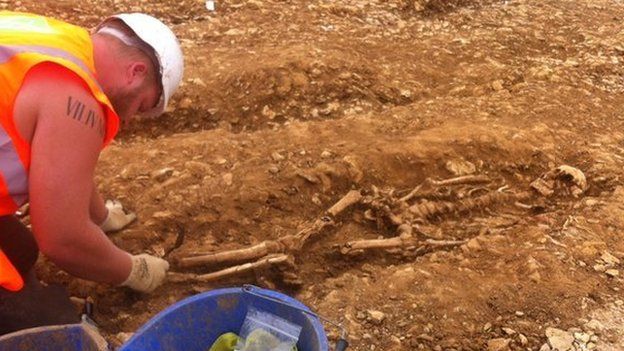 Peterborough dig uncovers about 70 human skeletons - BBC News