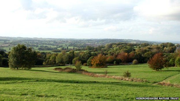 Lottery funding bid for Bromyard Downs - BBC News