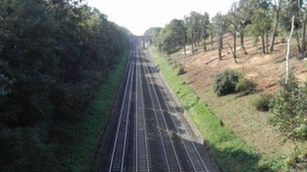 Network Rail in tree-cutting row at Sonning Cutting - BBC News