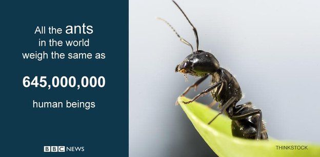 Go Figure: The week in numbers - BBC News