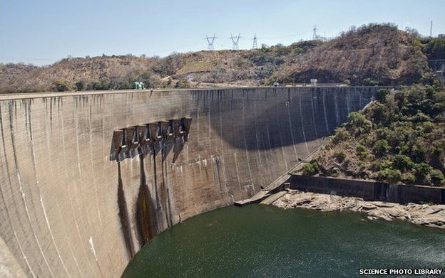 The marooned baboon: Africa's loneliest monkey - BBC News