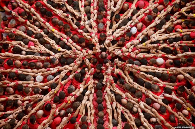 Day in pictures: 6 October - BBC News