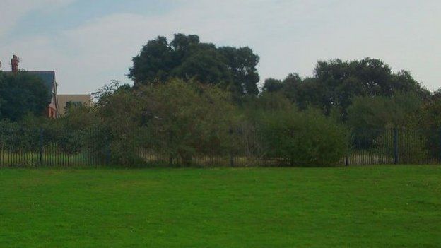 Butetown residents unhappy at flats plan near Hamadryad Park - BBC News