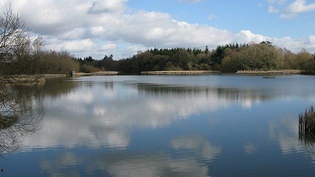 Rivers Wansbeck and Blyth opened to breeding fish again - BBC News