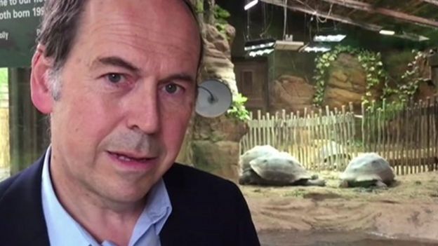 Giant tortoise makes 'miraculous' stable recovery - BBC News