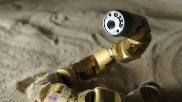 Snake walk: The physics of slithering - BBC News