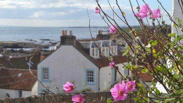 Farmer, baker, guitar maker: Making a living in the East Neuk - BBC News
