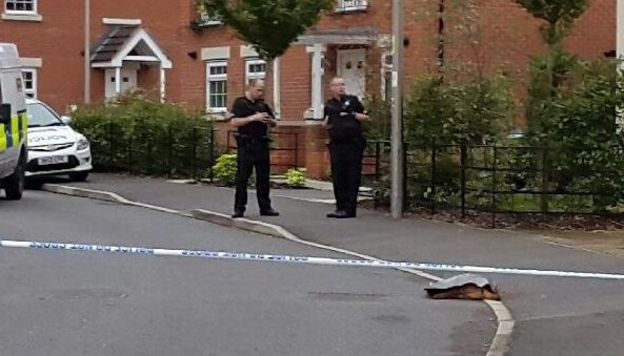 Crewe police shoot dog dead after woman attacked - BBC News