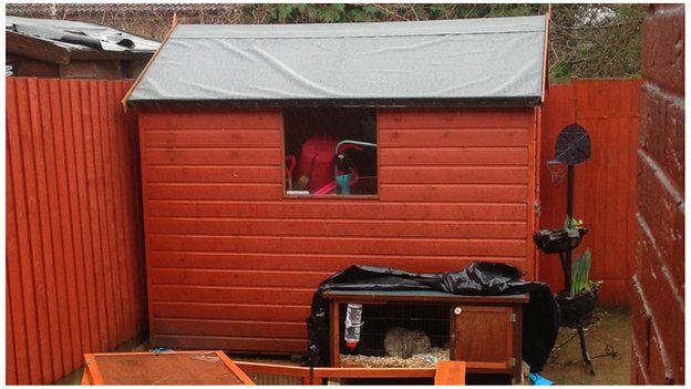 Devon shed thieves leave contents behind - BBC News