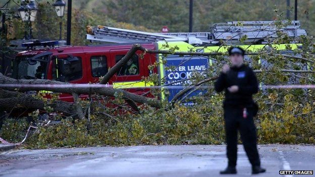 Met Police facing investigation over tree death - BBC News