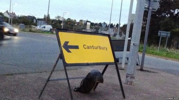 'Rihgt' road signs: Your pictures of badly spelt road signs - BBC News