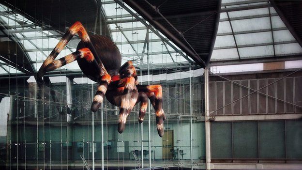 Norwich giant inflatable spider startles Halloween visitors - BBC News