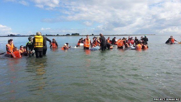 Rescued New Zealand pilot whales die after second stranding - BBC News