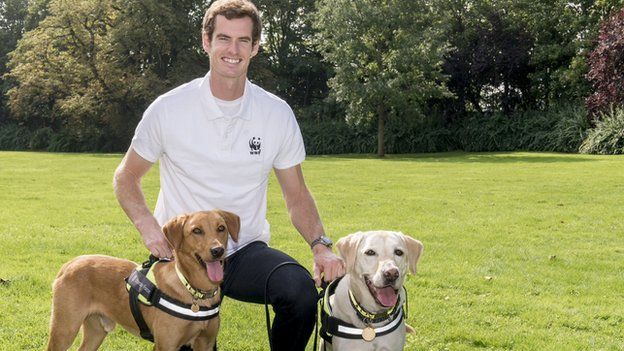 Andy Murray to fight poaching as WWF ambassador - BBC News