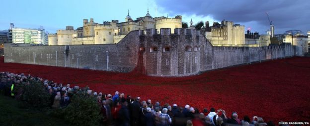 In pictures: The poppies at the Tower of London - BBC News