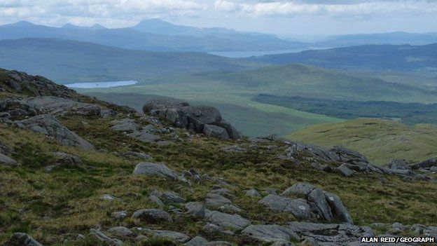 Wildcat conservation project given almost £1m - BBC News