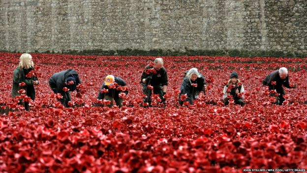 Day in pictures: 12 November 2014 - BBC News