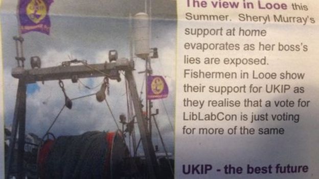 MP Sheryll Murray says UKIP 'used personal tragedy' in paper - BBC News