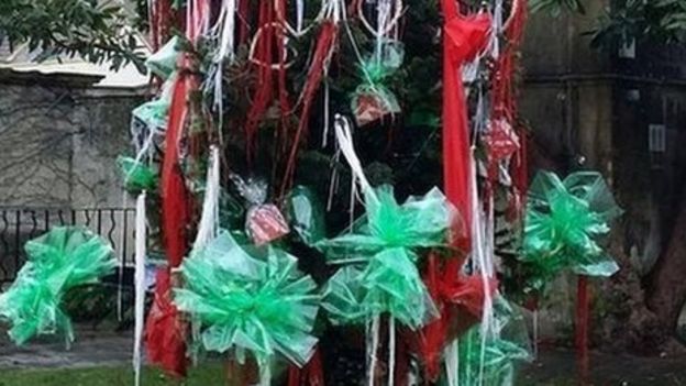 Christmas tree-throwing contest launched near Keele - BBC News