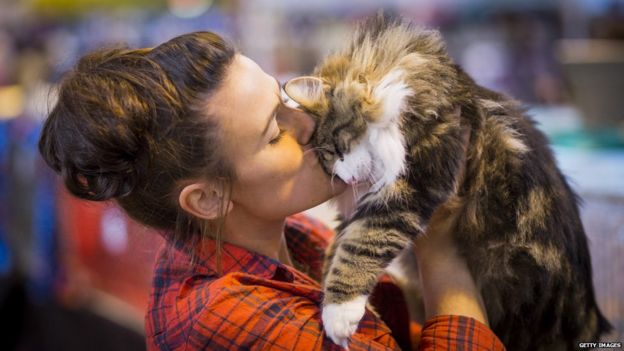 Supreme Cat Show contest at Birmingham NEC - BBC News