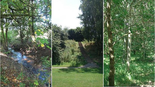 Broxtowe Borough Council approves Hall Park nature reserve - BBC News