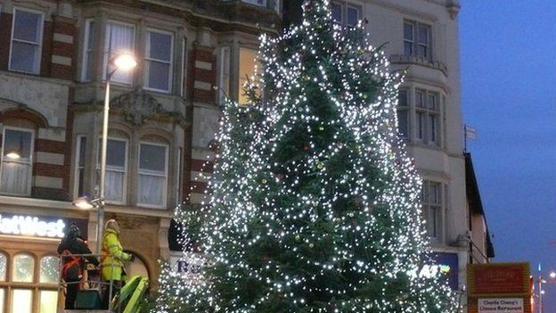 Christmas 'tree bank' in Cambridgeshire to 'spread cheer' - BBC News