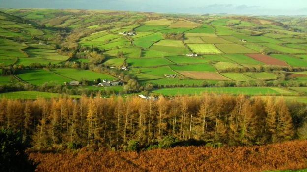 Your Pictures: Photos from Wales - BBC News