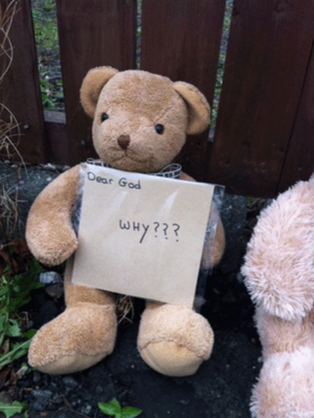 Woman detained by police after boy, 5, dies in Alva - BBC News