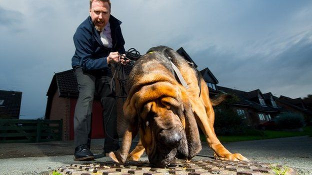 Giant fatberg weighing ten tonnes breaks sewer - BBC Newsround