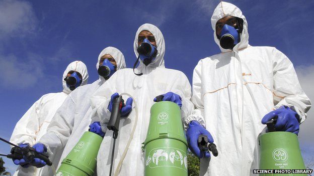 How to beat malaria - BBC News