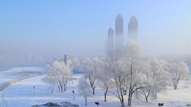 Day in pictures: 9 December 2014 - BBC News