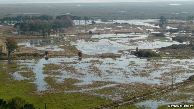 North Gower farmland to return to saltmarsh habitat - BBC News