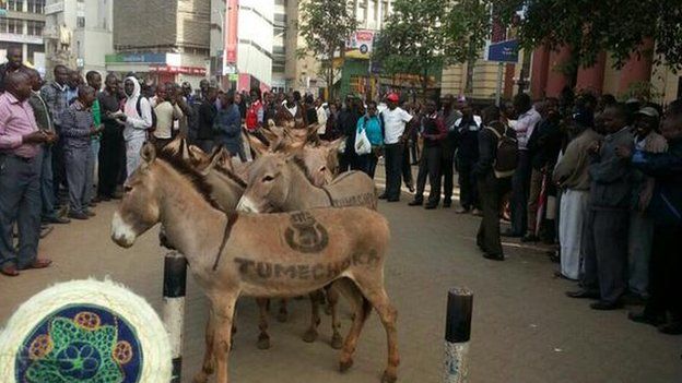 Kenya: Donkey protest in Nairobi's business district - BBC News
