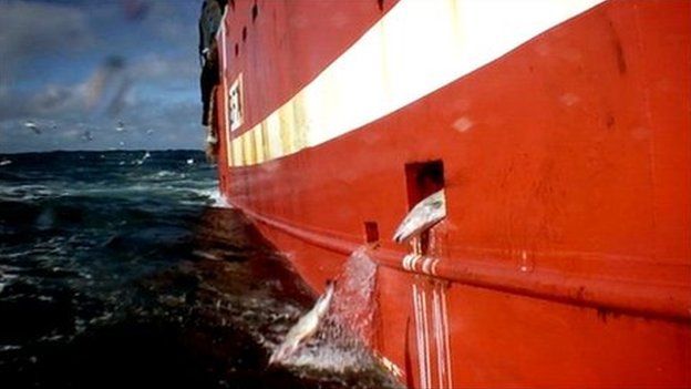 Funding secured for fish net trials ahead of EU ban on discards - BBC News