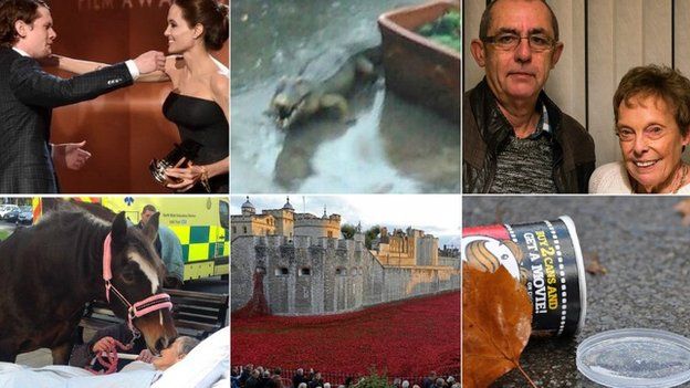 Review of 2014: England's top unusual stories of the year - BBC News