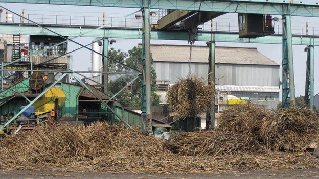 Villagers losing their land to Malawi's sugar growers - BBC News