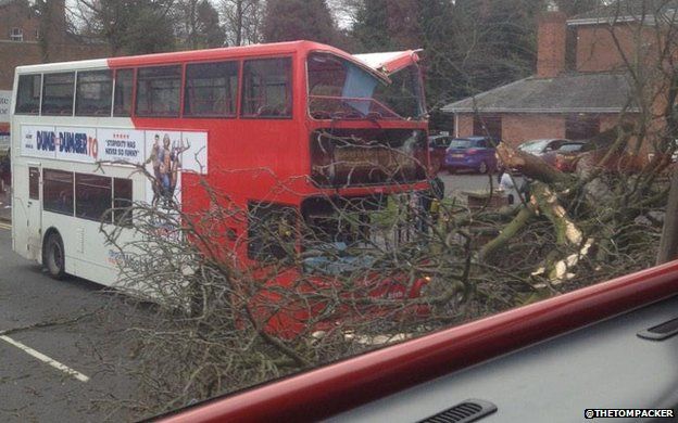 Tree hits bus on Hagley Road on Birmingham - BBC News