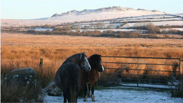 Ice warning still in place for whole of Wales - BBC News