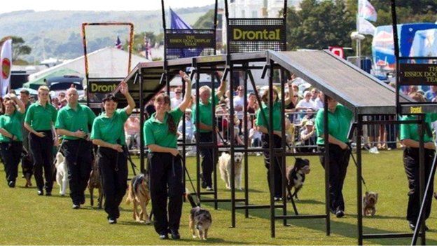 New Year's Honours: MBE for Brentwood dog trainer and fundraiser - BBC News