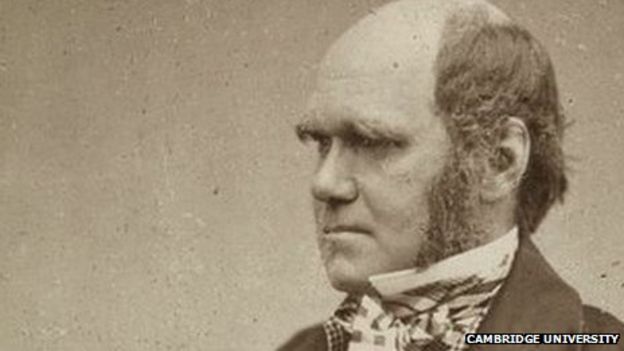 Charles Darwin's Beagle shipmate sketches online - BBC News