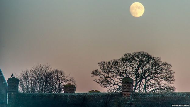Your January weather photos - BBC Weather