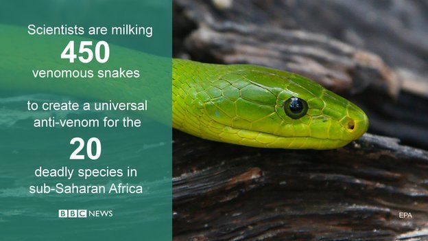 Go Figure: The week in numbers - BBC News Go Figure: The week in numbers - BBC News
