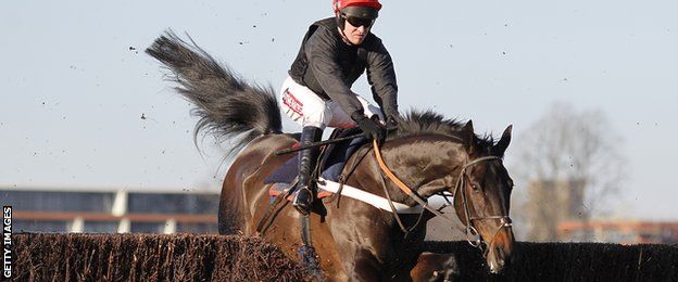 Sprinter Sacre: Timing is perfect for his return - Nicky Henderson ...