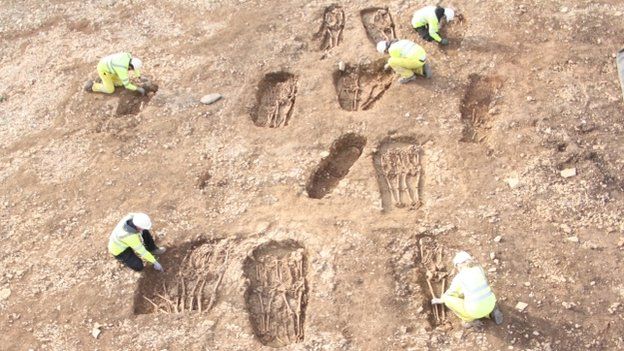 Hinkley Point C excavations unearth bones from the Dark Ages - BBC News